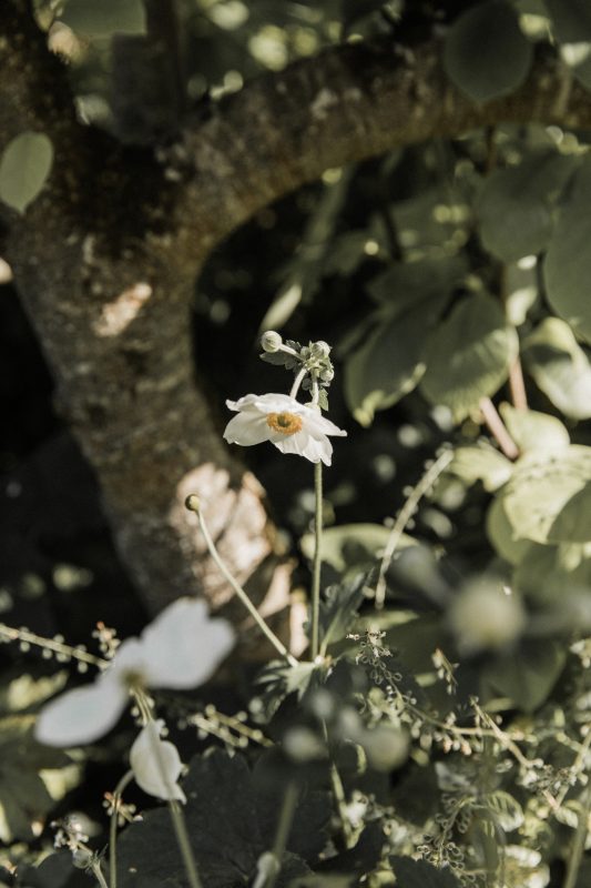 The Great Barn Wedding Venue in Devon | Barn Wedding Venue